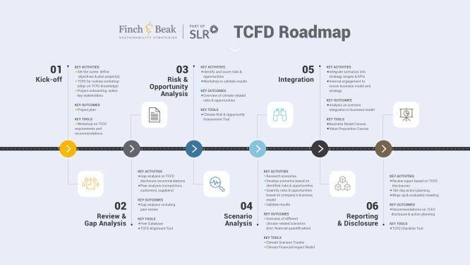 The TCFD Journey: A Roadmap | Finch & Beak Consulting
